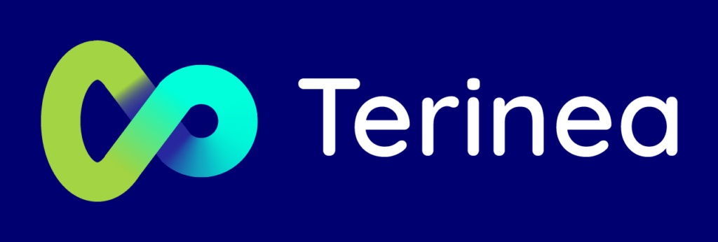 Terinea – IT Services & Software Development